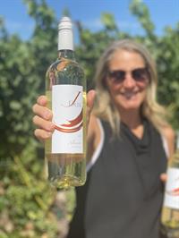 J Dusi Wines - Wines